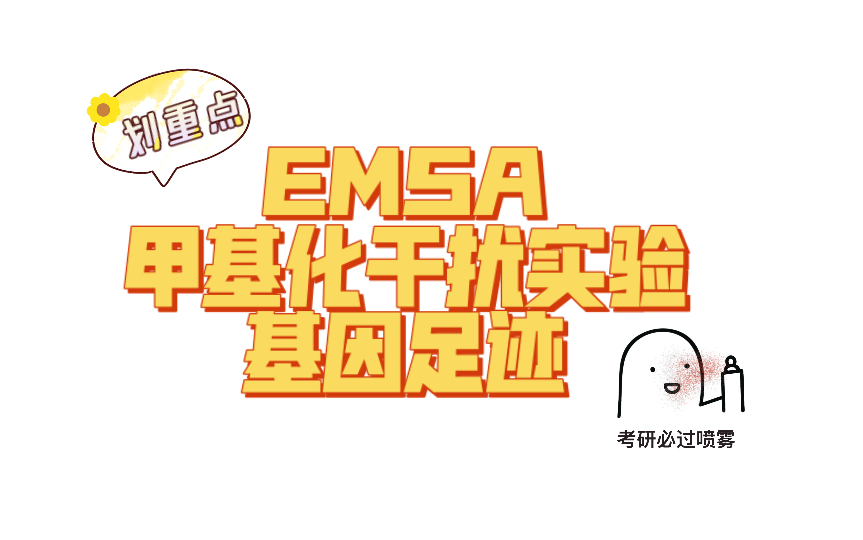 ...学 EMSA、甲基化干扰实验、基因足迹(DNA和蛋白质之间的相互作用)
