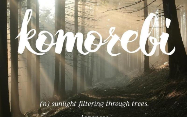 Komorebi 拇指琴卡林巴