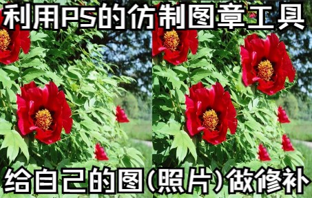 如何利用PS的仿制图章工具给自己的图片(照片)做修补?
