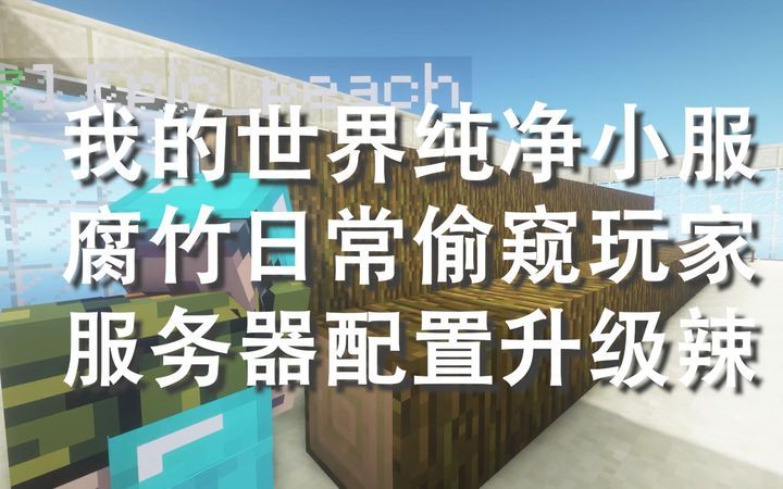 我的世界纯净小服变态腐竹偷窥玩家 服务器配置升级辣