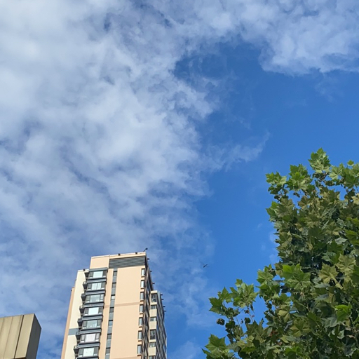 在一起的时尚达人 