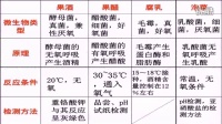 厨房_生活_制作泡菜及亚硝酸盐含量测定