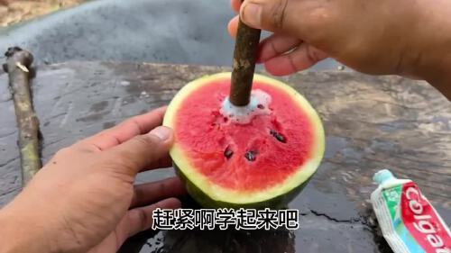芒果和西瓜共同生长的方法,种植方法独特,赶紧学起来吧