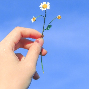 柠萌气泡水呀 