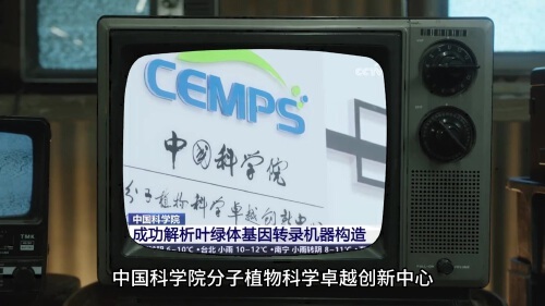 突破世界难题!我国科学家成功解析叶绿体基因转录机器构造