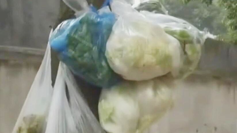 垃圾分类换鸡蛋 厨余垃圾攒着交?