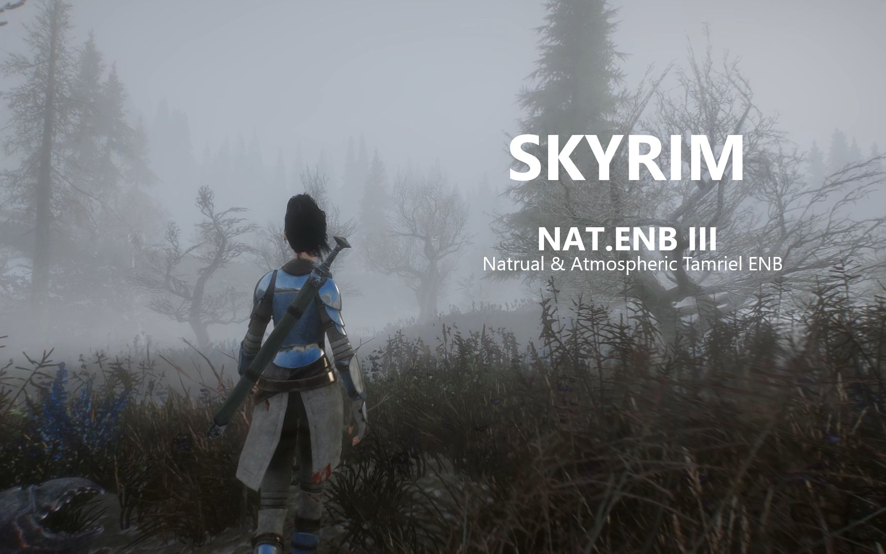⌈上古卷轴5⌋NAT.ENB III---电影般质感的天际