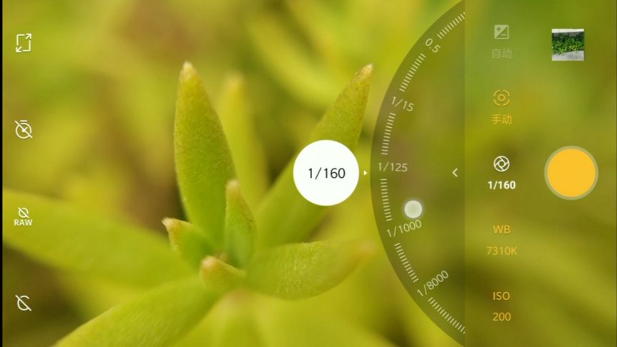 手机拍摄微距效果,打开专业模式,调整参数,快试下你的可以不