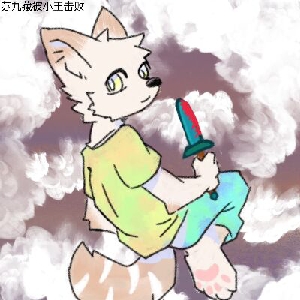 爱玩游戏的小王_ 