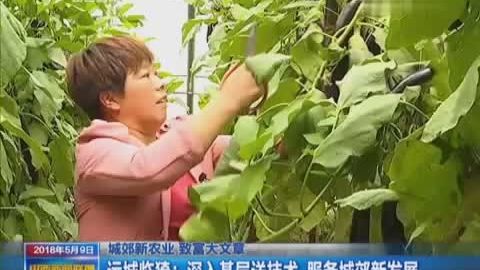 城郊新农业 致富大文章:运城临猗 深入基层送技术 服务城郊新发展