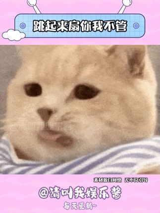 跳起来扇你我不管(cr:@小鹿是鹿amis )#娱乐评论大赏