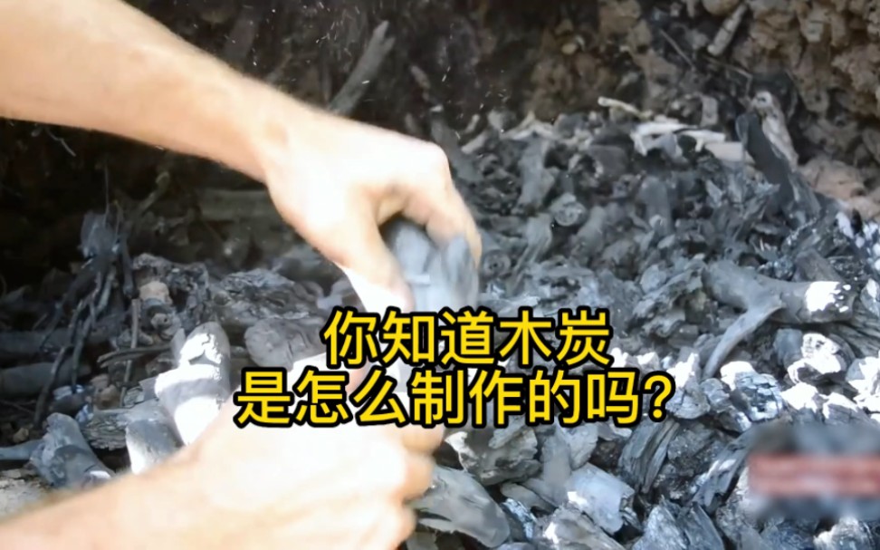 一分钟在野外学会制造木炭 受用终身 ,可操作性强