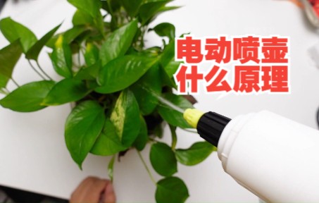 电动浇花喷壶喷雾器开箱试玩拆解 | 内部结构原理 | 电机电刷怎么装回去