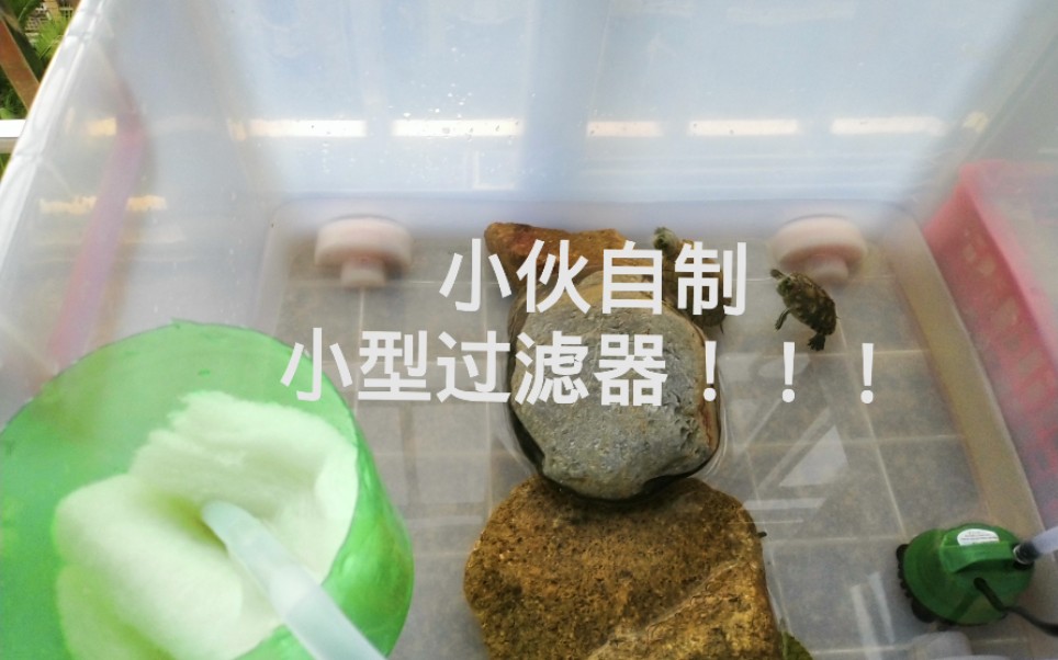 小伙给乌龟缸做了个小型过滤器