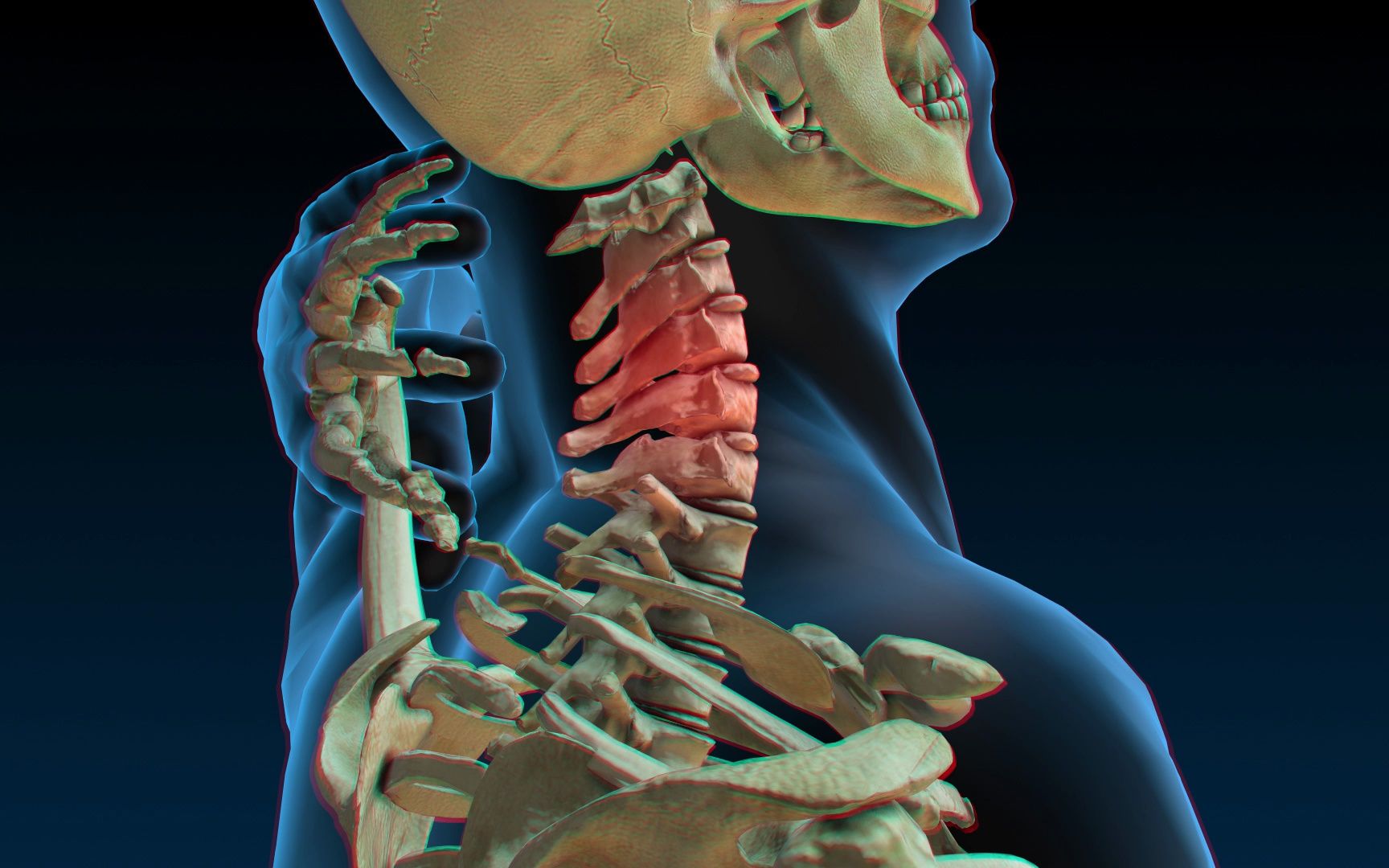 3d医学动画制作软件