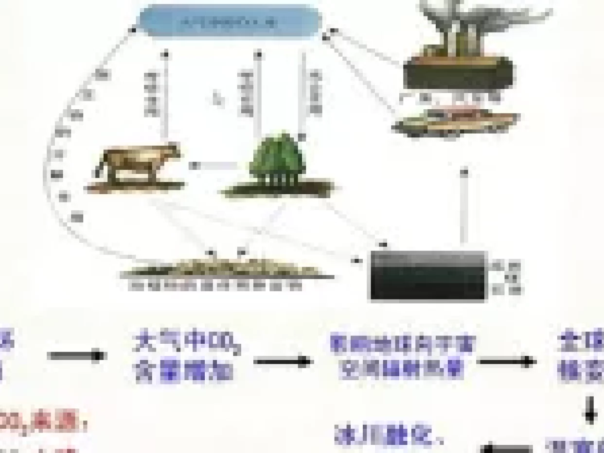 (汉水丑生一轮复习)生态系统的物质循环