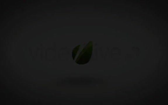 15388-螺旋线旋转logo标志演绎AE模板