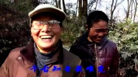 TSH视频田 歌曲 知音4 原唱 李谷一