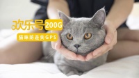 ...找猫咪,找猫新姿势,快给你家主子也佩戴一款这样的微型GPS定位器