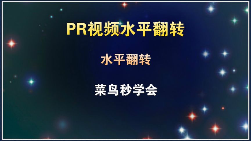 PR如何让视频水平翻转,菜鸟学会只要2分钟,教程通俗易懂