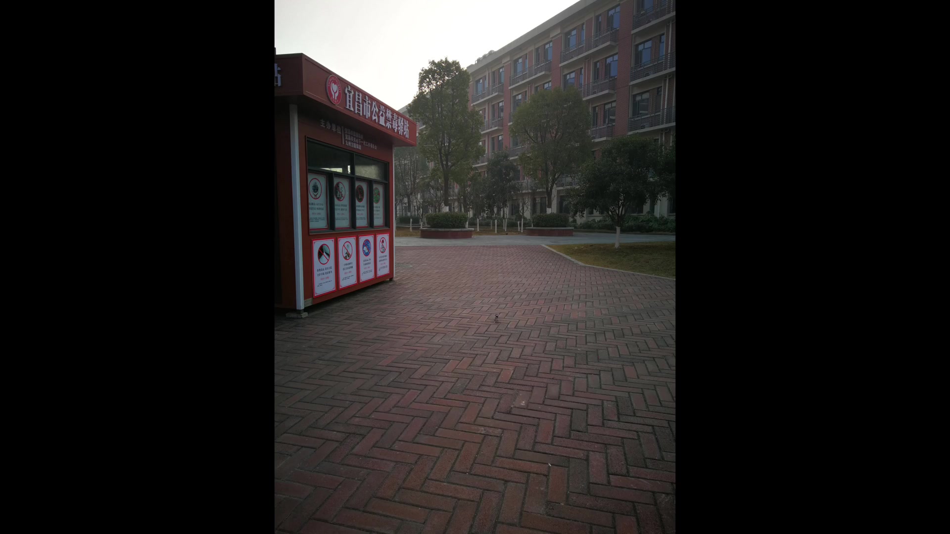 【夷陵中学】景色随手拍