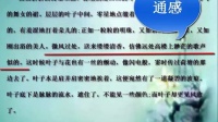 王春红主讲微课——品读《荷塘月色》的景物描写
