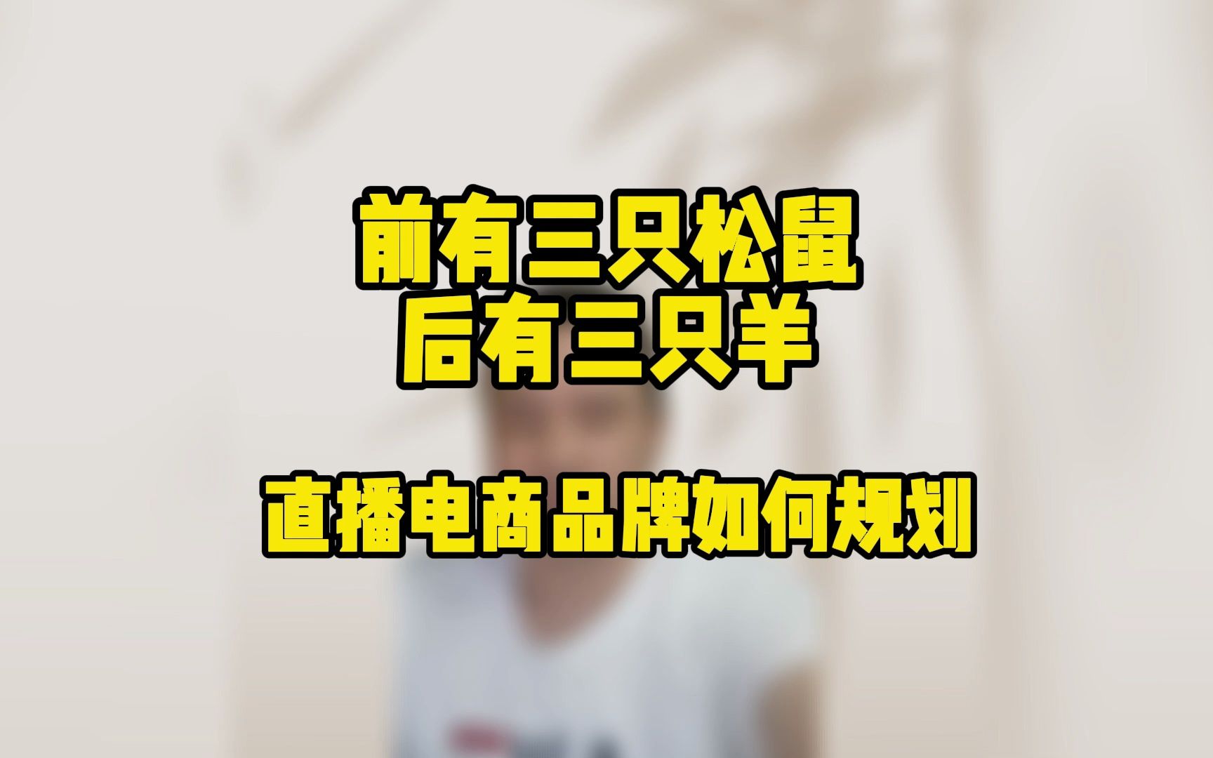 前有三只松鼠,后有三只羊!