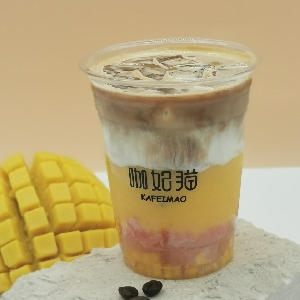 咖妃猫咖啡制作培训 