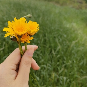 十月证券 