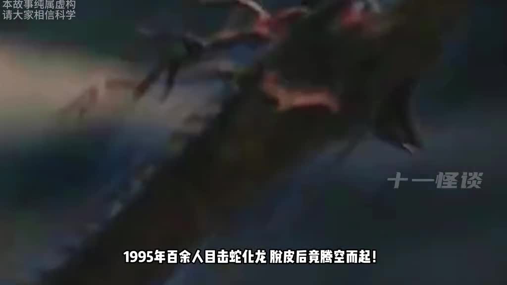 95年山东发现巨蟒飞升事件,百余人目睹!传说中的渡劫化龙竟真实存在!...