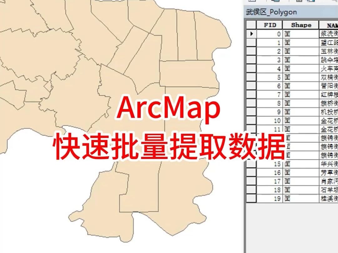 ArcMap快速批量提取数据_1