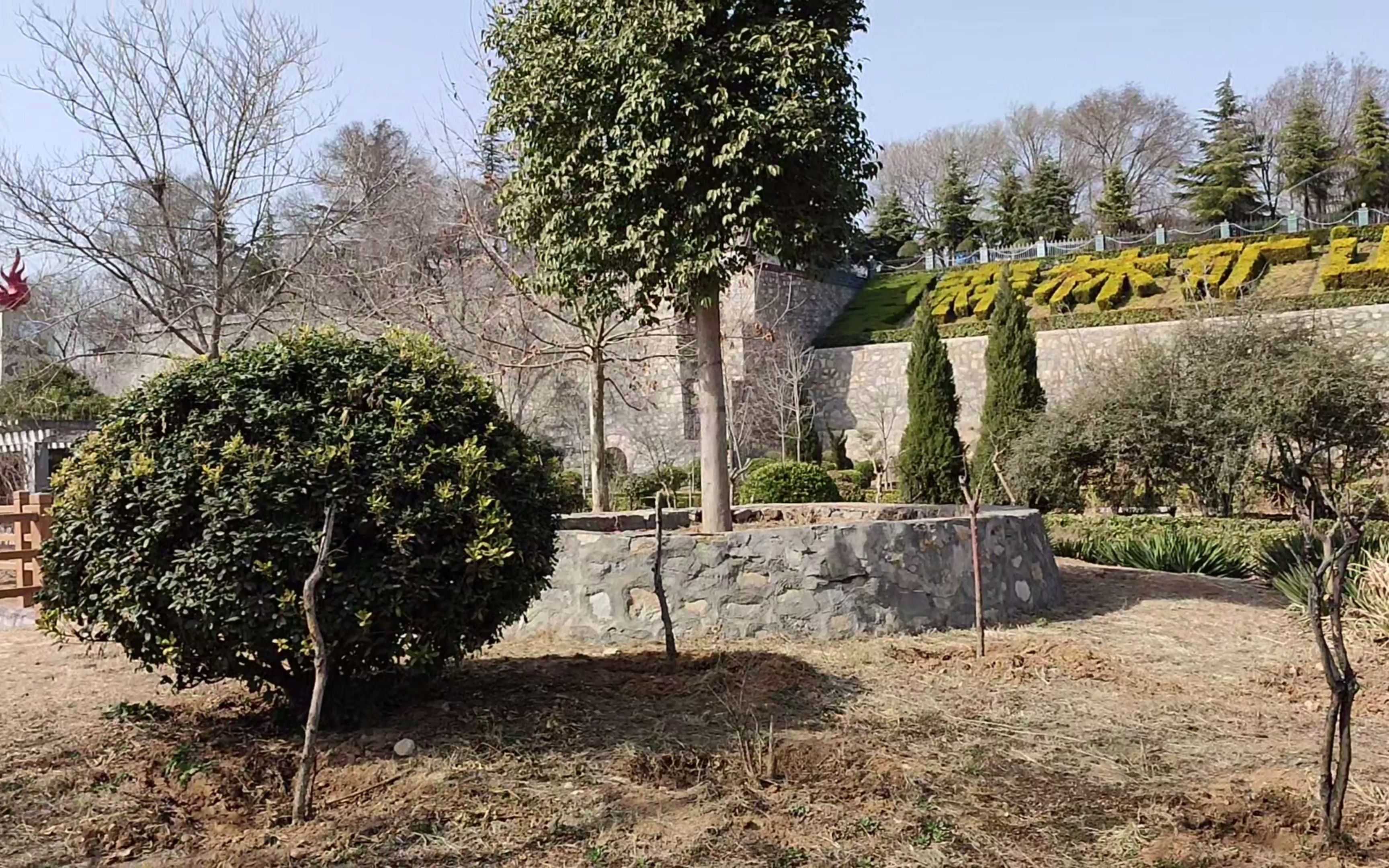 小伙在游凤凰山,这次的变化有点大