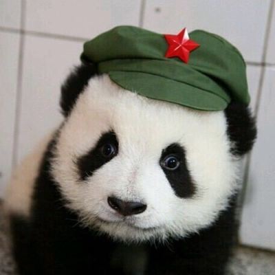 齐国侯 