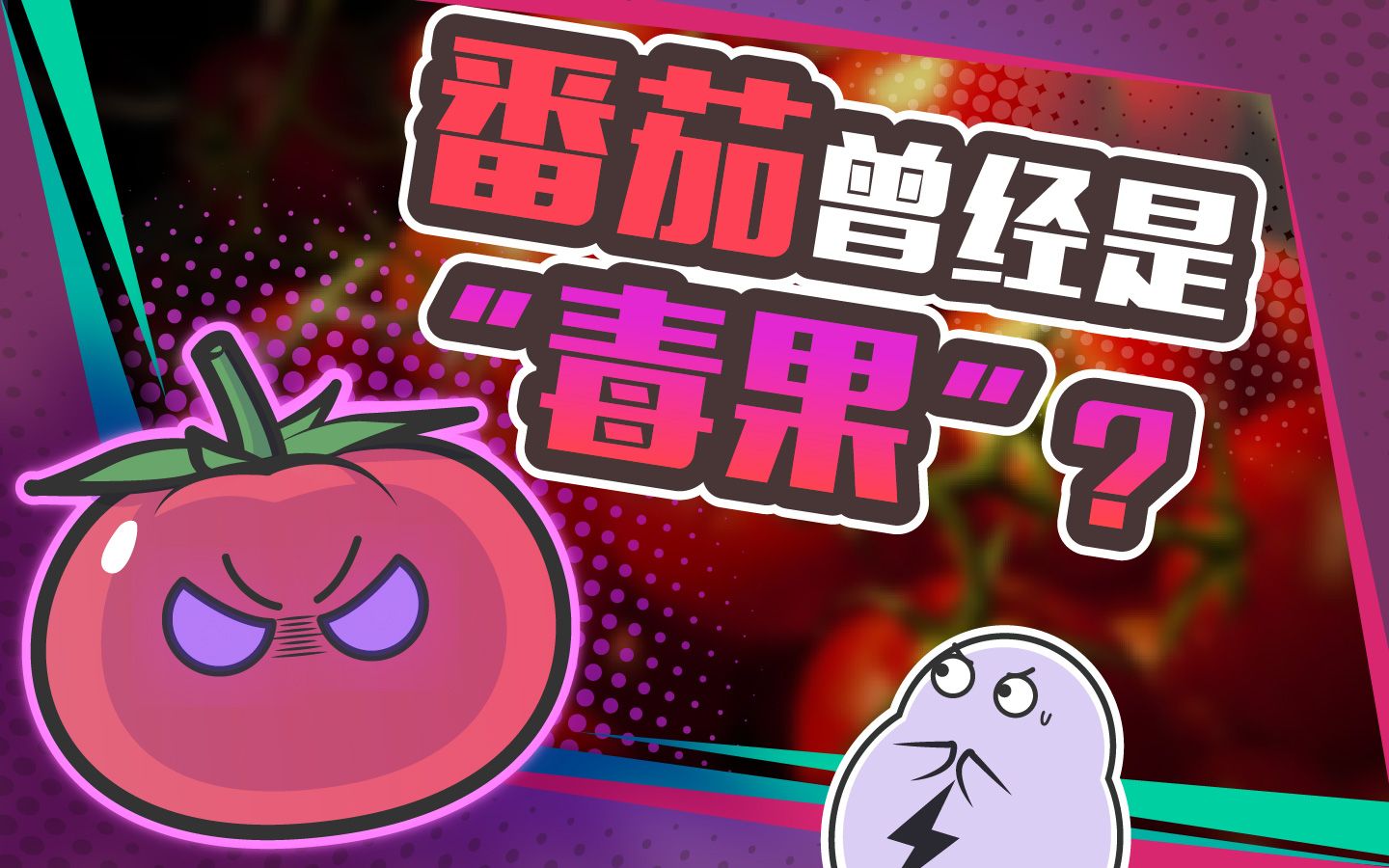 酸甜可口的番茄,在几百年前的欧洲竟是公认的“毒果”