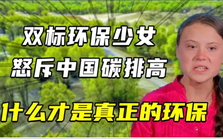 双标环保少女通贝里,怒斥中国碳排放量最高,什么才是真正的环保