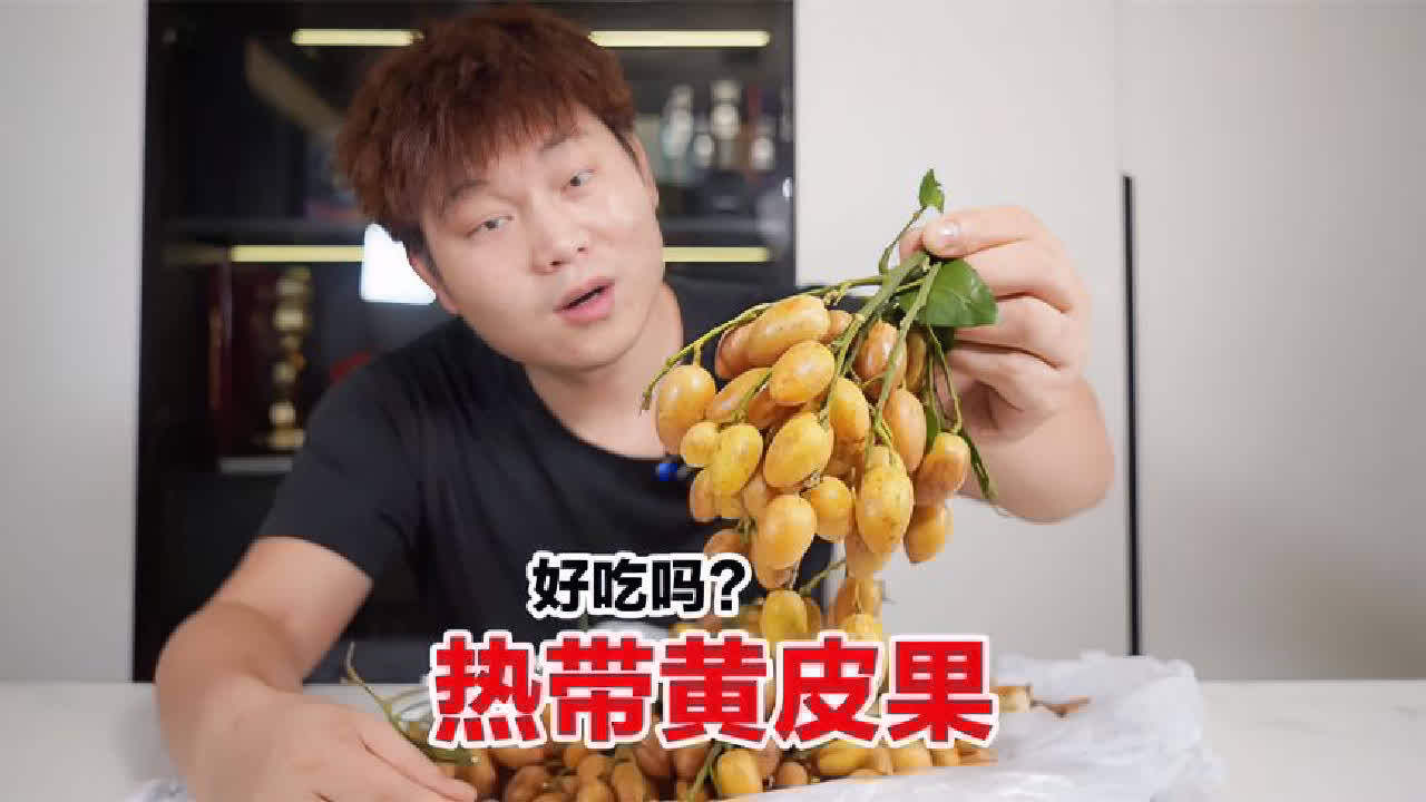 试吃浑身是宝的黄皮果,99买了5斤,真的好吃吗?