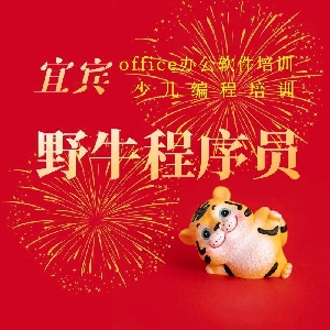 野牛程序员 