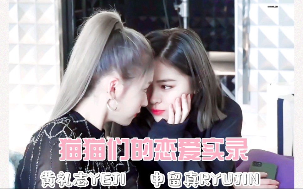 ITZY 猫 猫 们 的 恋 爱 实 录