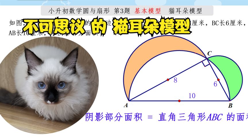 不可思议的猫耳朵模型,圆与扇形重要结论,小升初数学高频考点