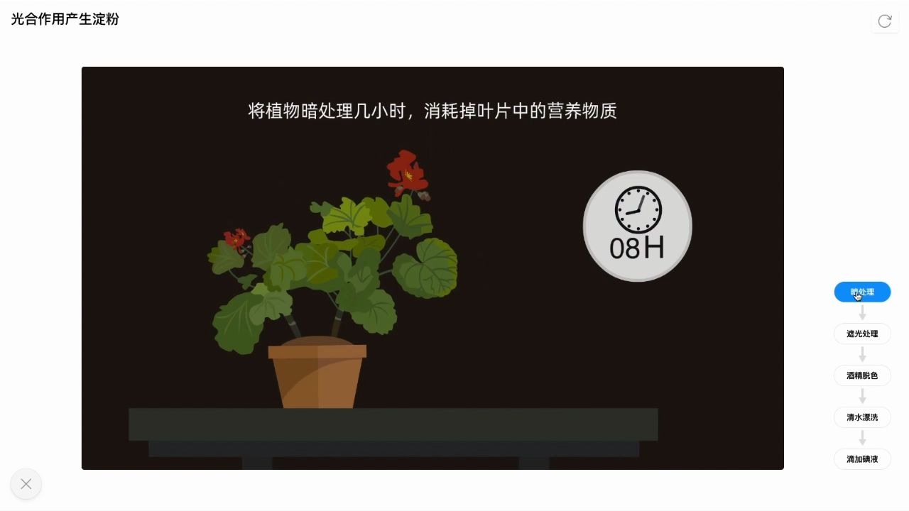 【生物】光合作用产生淀粉