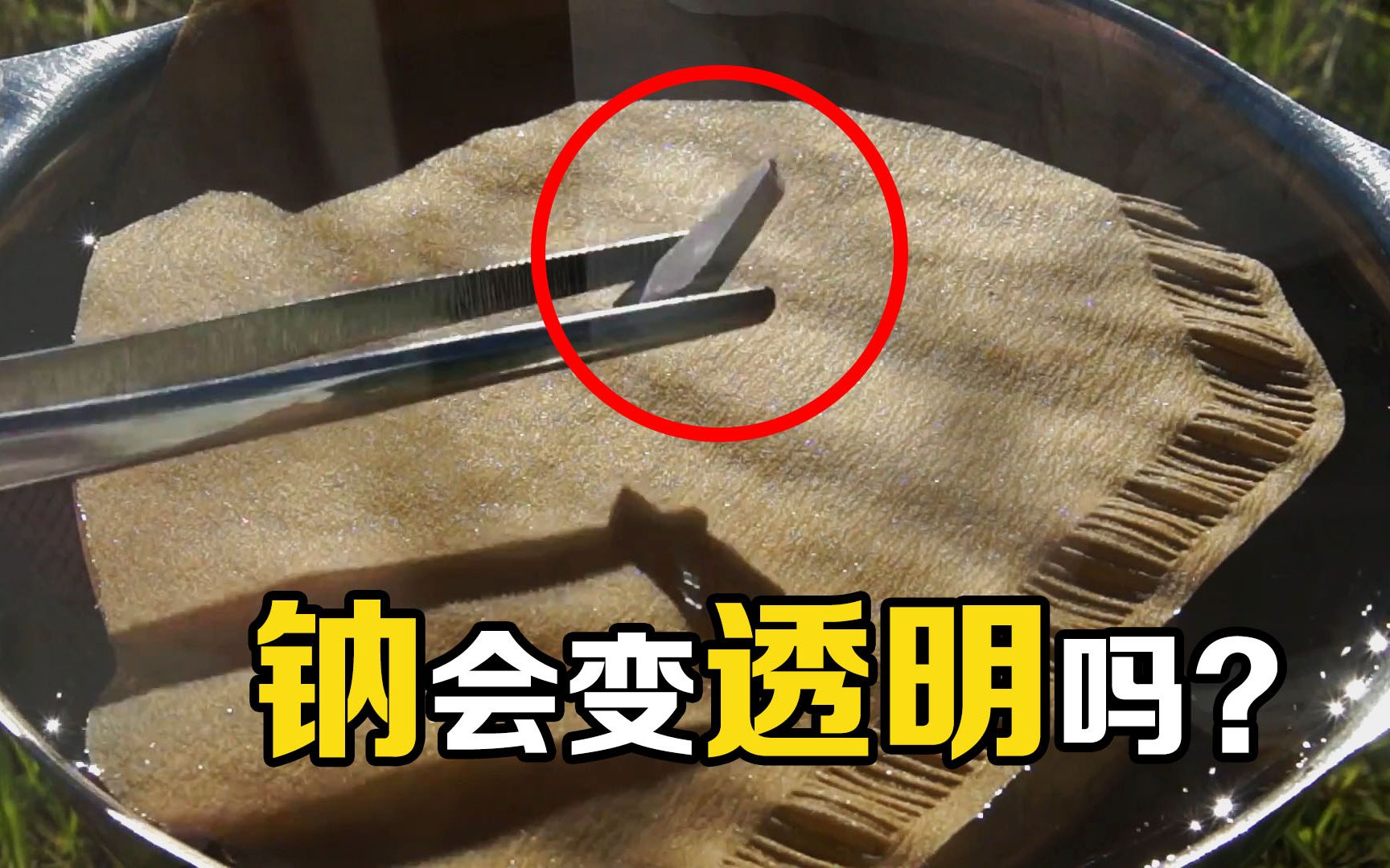 金属钠会变透明吗?把它丢在湿润的滤纸上,有趣的科学现象发生了