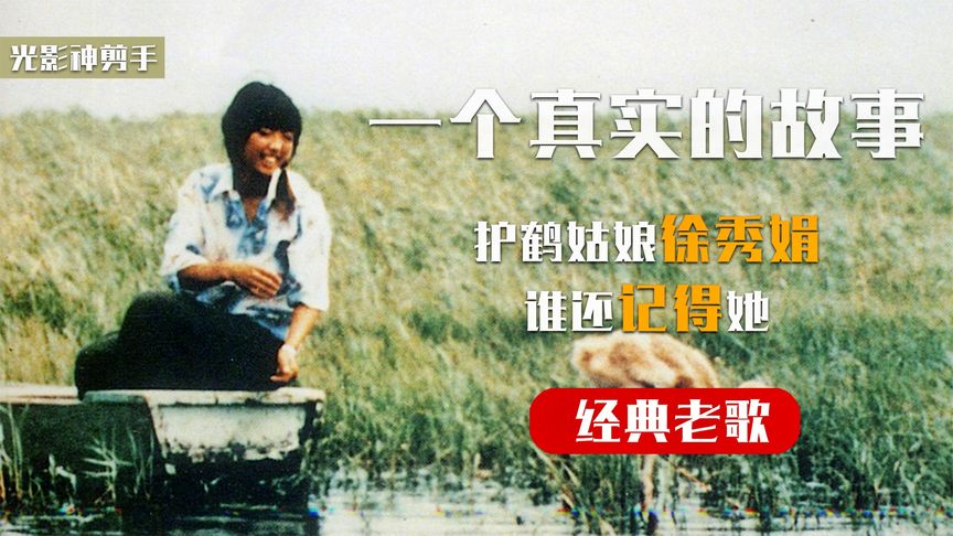 《一个真实的故事》,多少年过去了,谁还记得那个勇敢的护鹤姑娘