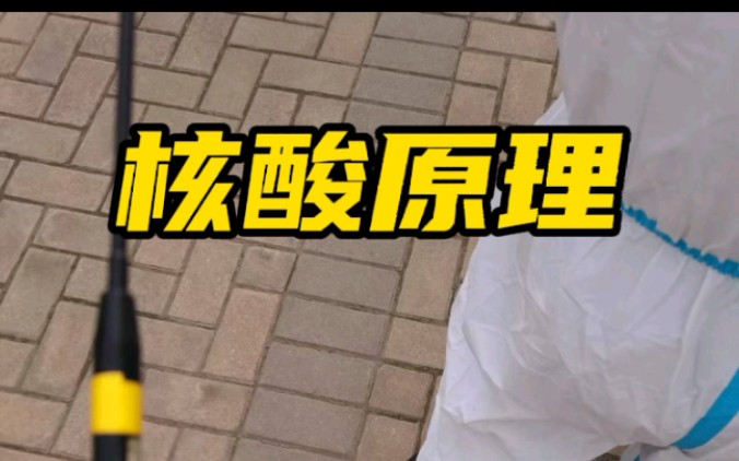 你知道核酸检测的原理吗?