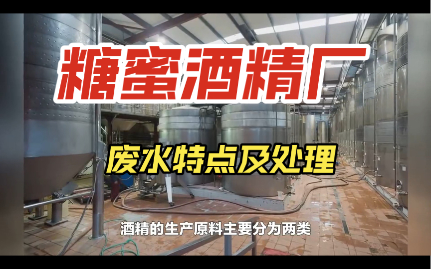 糖蜜酒精厂!废水特点及处理