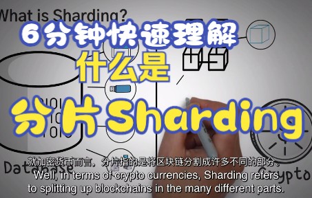 【科普篇】什么是区块链中的分片sharding扩展解决方案动画演示中英...