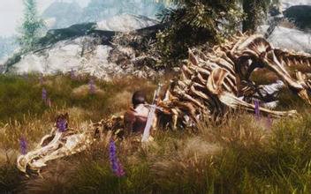 【黑时维新】上古卷轴5mod测试花絮