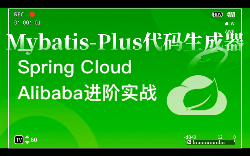 SpringCloudAlibaba整合Mybatis-Plus代码生成器集成微服务项目