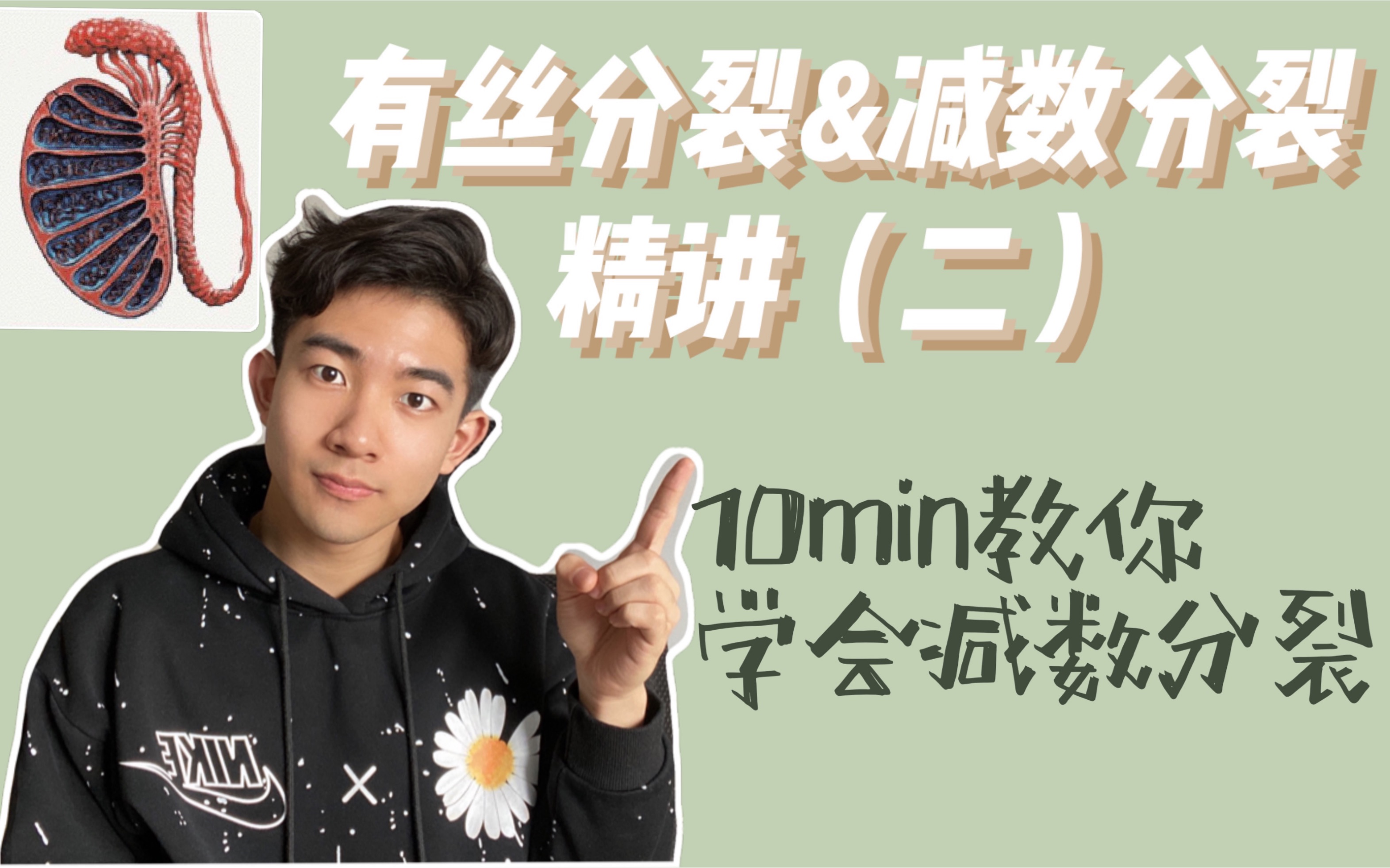 高中生物 | 有丝分裂和减数分裂精讲(二) | 10min带你减数分裂考点get√