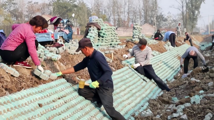 河南永城:加速推进高标准农田项目建设