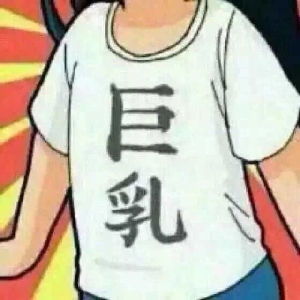 是阿赖鸭 